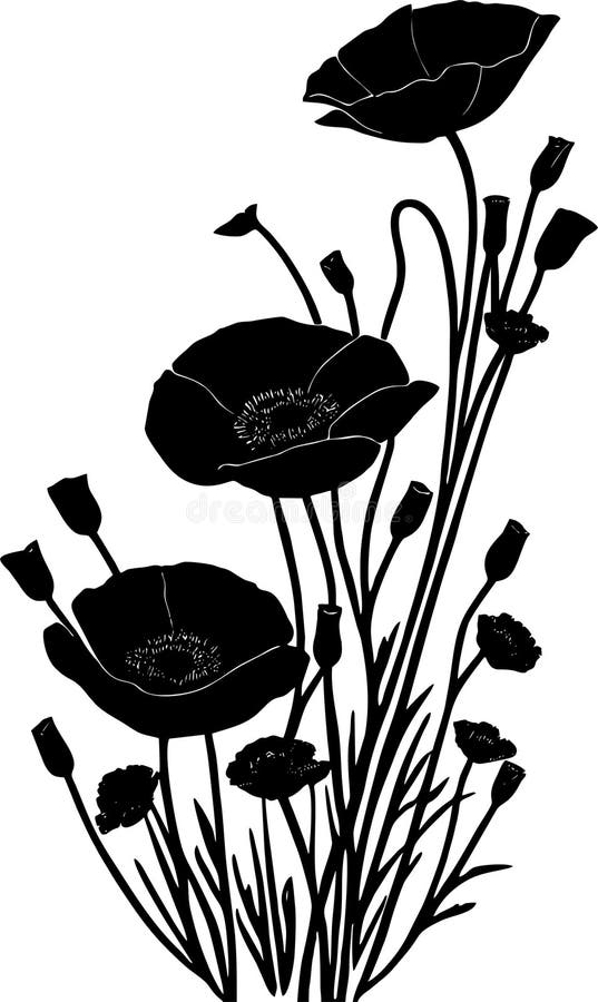 Simple Black Outline Drawing Silhouette of Poppy Flowe Stock ...