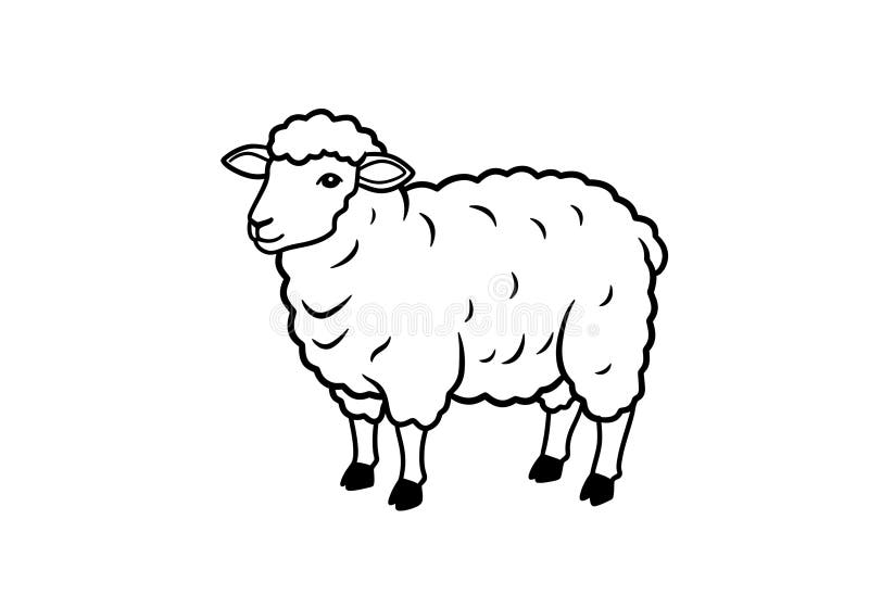 Line art sheep stock vector. Illustration of simple - 363563066