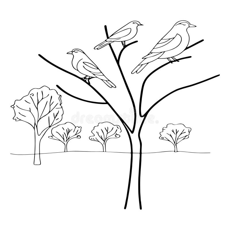 Black and White Illustration of Birds Perched in a Tree Stock ...
