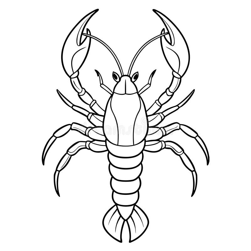 Outline Drawing of a Crawfish with Large Claws and Legs Stock Vector ...