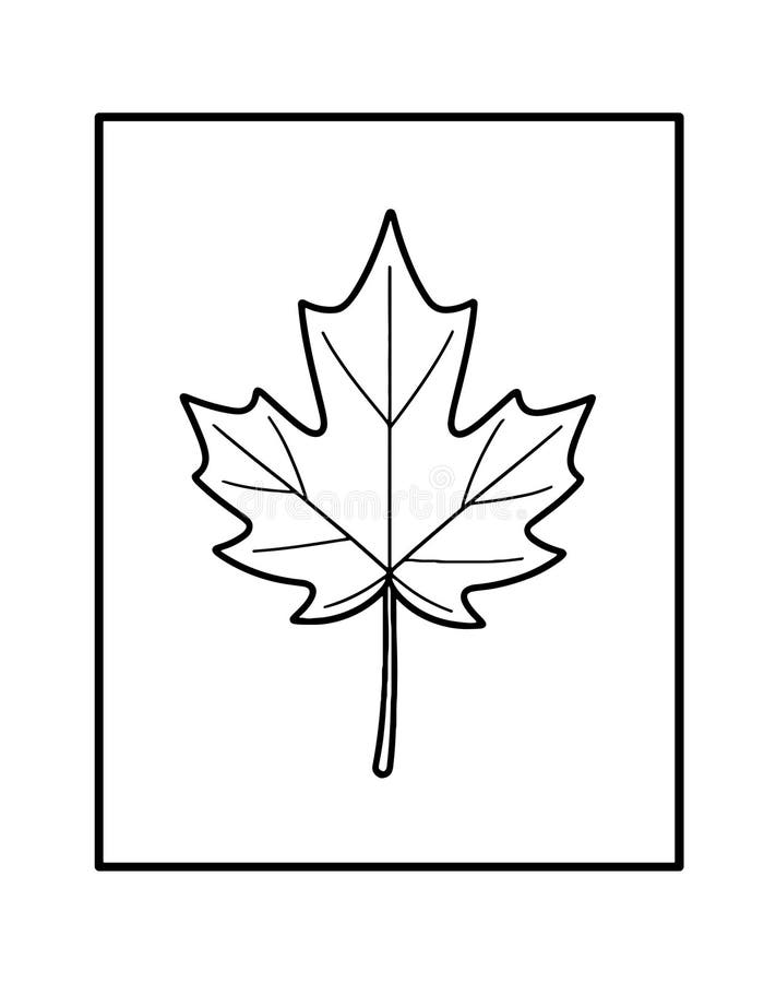 Simple Maple Leaf Outline Drawing Coloring Page Stock Photo ...