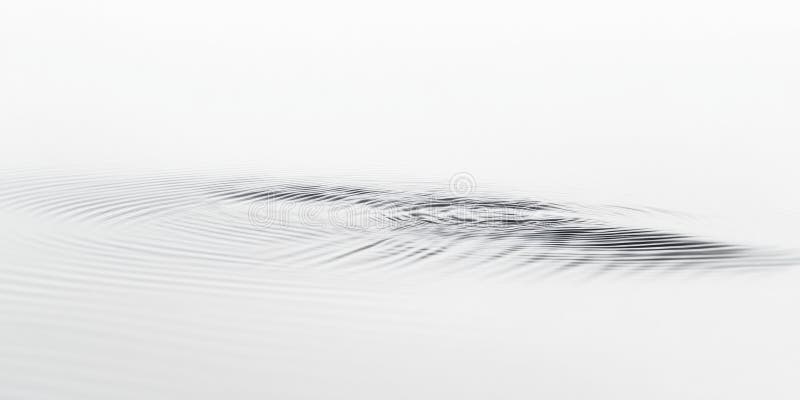 A Simple Black and White Photo of a Ripple in the Water Stock ...