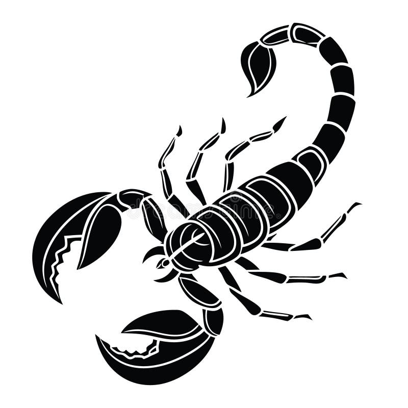 Simple Black and White Scorpion Illustration Stock Vector ...