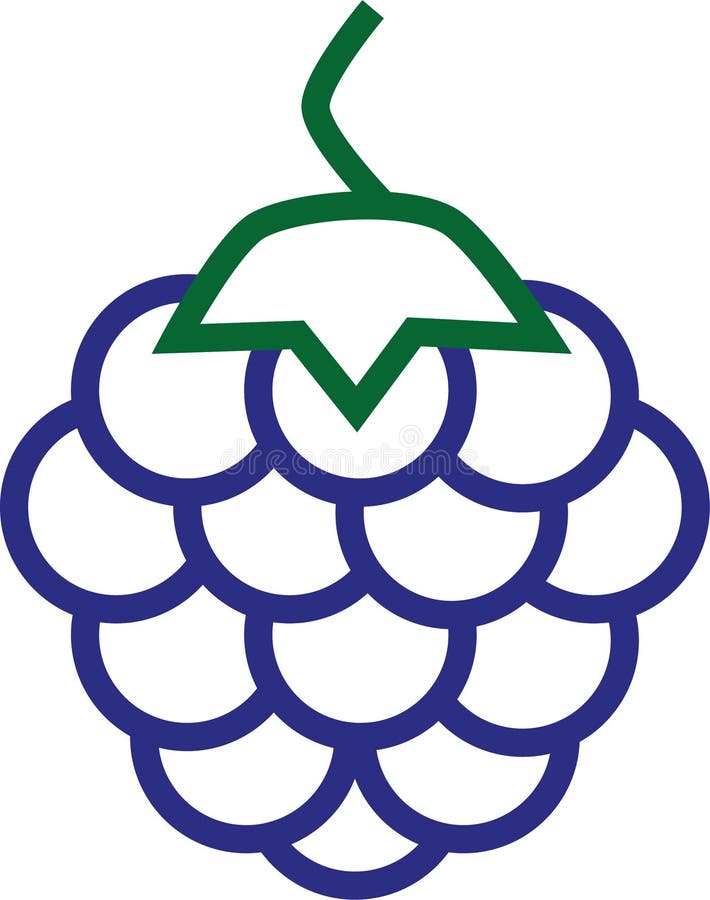 Raspberry Black White Simple Stock Illustrations – 525 Raspberry Black ...