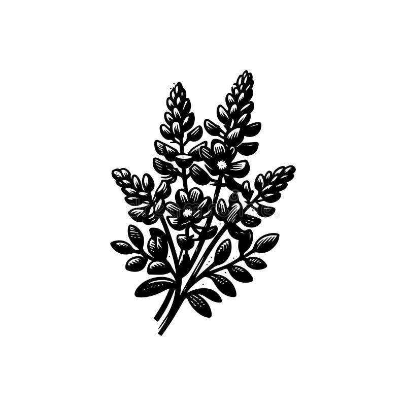 Simple Bluebonnet Bouquet Front View Vector with Vintage Logo and Retro ...