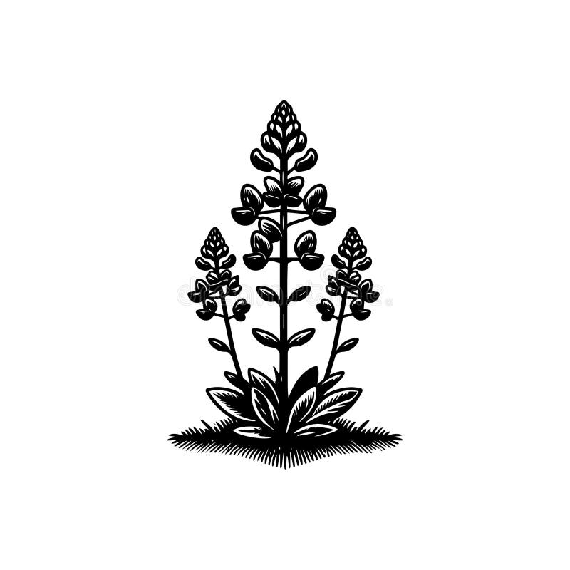 Simple Bluebonnet Flower Front View Vector with Vintage Logo and Retro ...