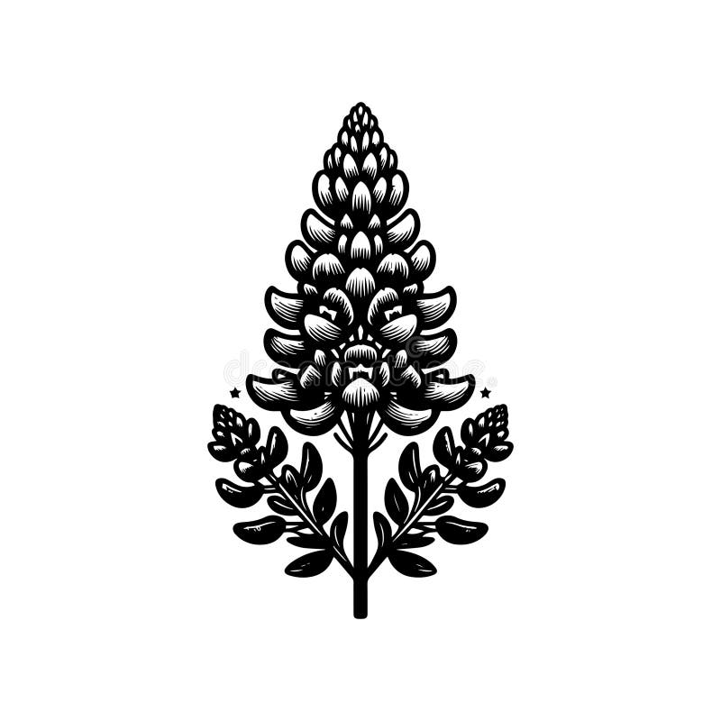 Bluebonnet Flower Front View Vector for Vintage Logo and Retro ...
