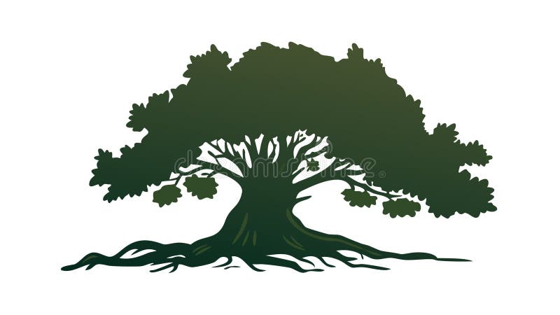 A Simple, Bold Silhouette of a Large, Leafy Oak or Acacia Tree. Vector ...