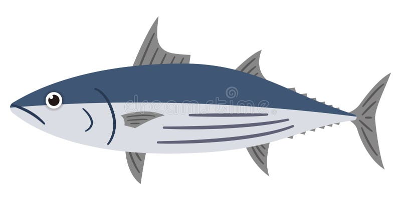 Simple Bonito Illustration on White Background Stock Vector ...
