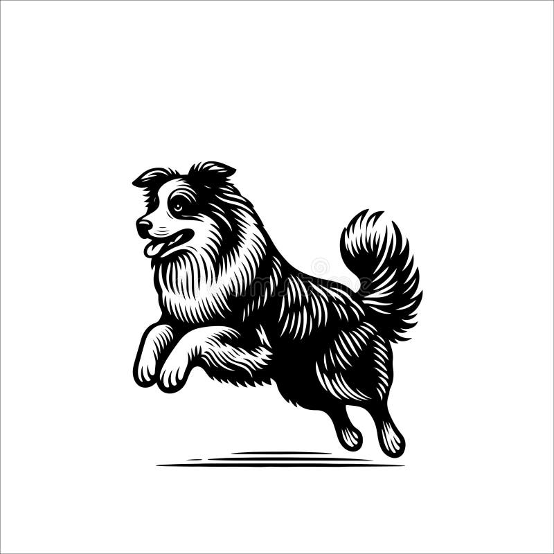 Border Collie Jumping Silhouette in Retro Vintage Style. Stock Vector ...