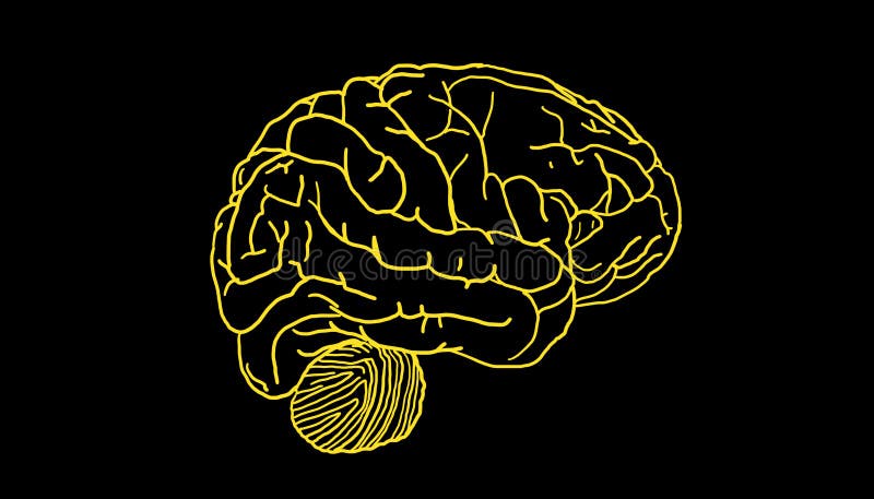 Simple brain outline icon stock vector. Illustration of logo - 119722429