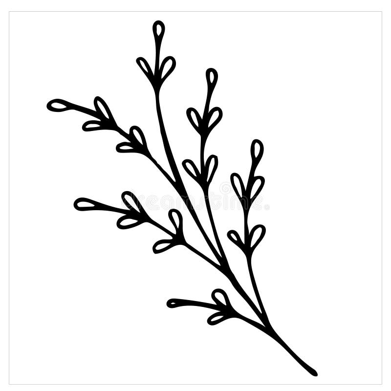 Simple Branch with Leaves, Isolated Hand Drawn Vector Illustration on ...