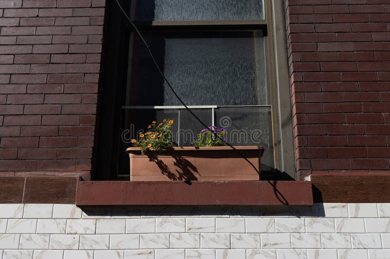 Simple Brick Residential Building Window with a Flower Box in New York ...