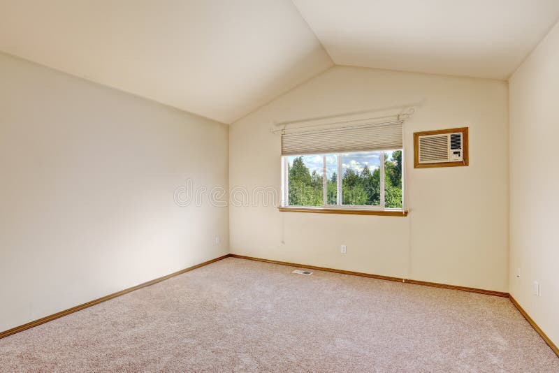 Empty Room With Vaulted Ceiling