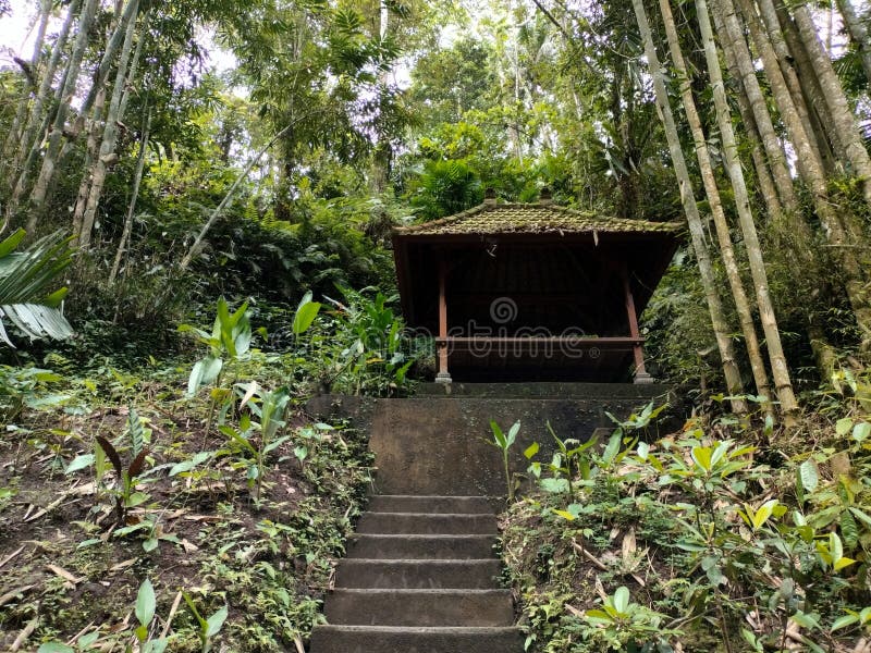 Simple Building a Shelter in the Middle of the Forest. Stock Image ...