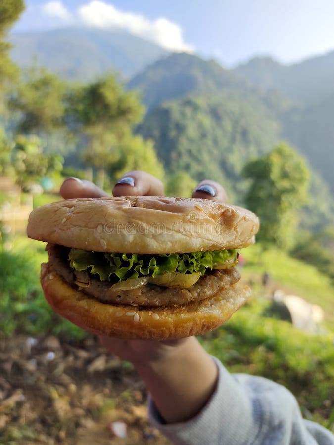 Simple burgers stock photo. Image of simple, burgers - 264216892