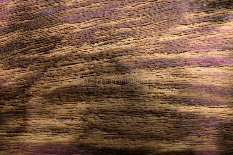 Simple Burnt Wood Background Stock Image - Image of burnt, color: 374362125