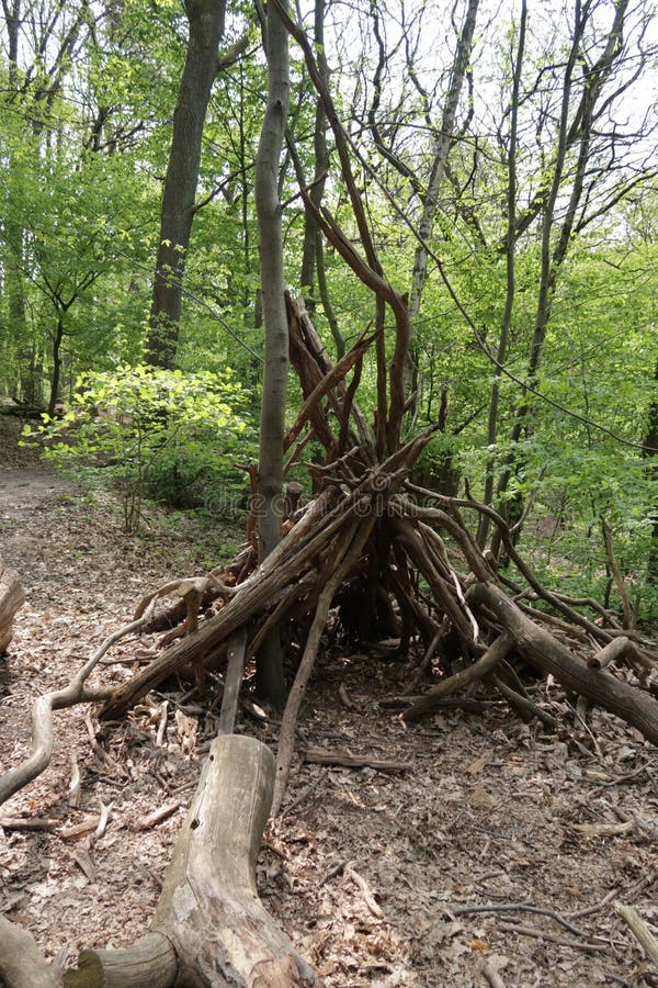 Simple Bushcraft Shelter Made of Sticks, Logs and Branches Surrounded ...