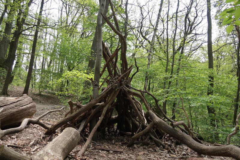 Simple Bushcraft Shelter Made of Sticks, Logs and Branches Surrounded ...