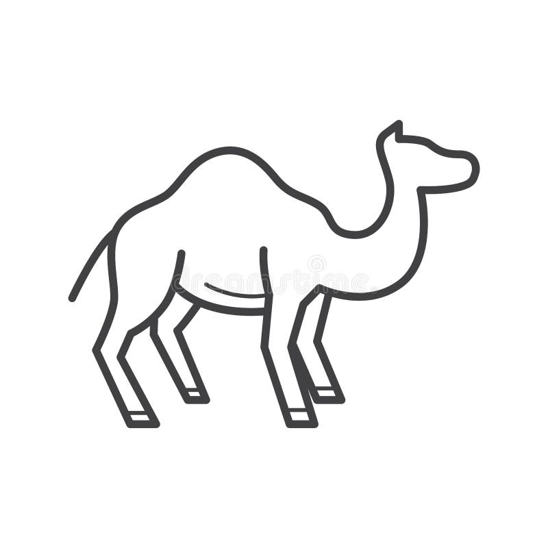 Camel Qatar Stock Illustrations – 199 Camel Qatar Stock Illustrations ...