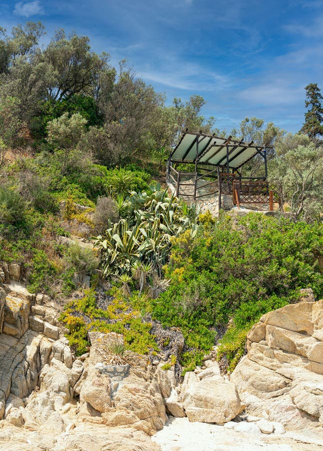 A Simple Canopy on a Steep Bank with Bright Vegetation Stock Photo ...