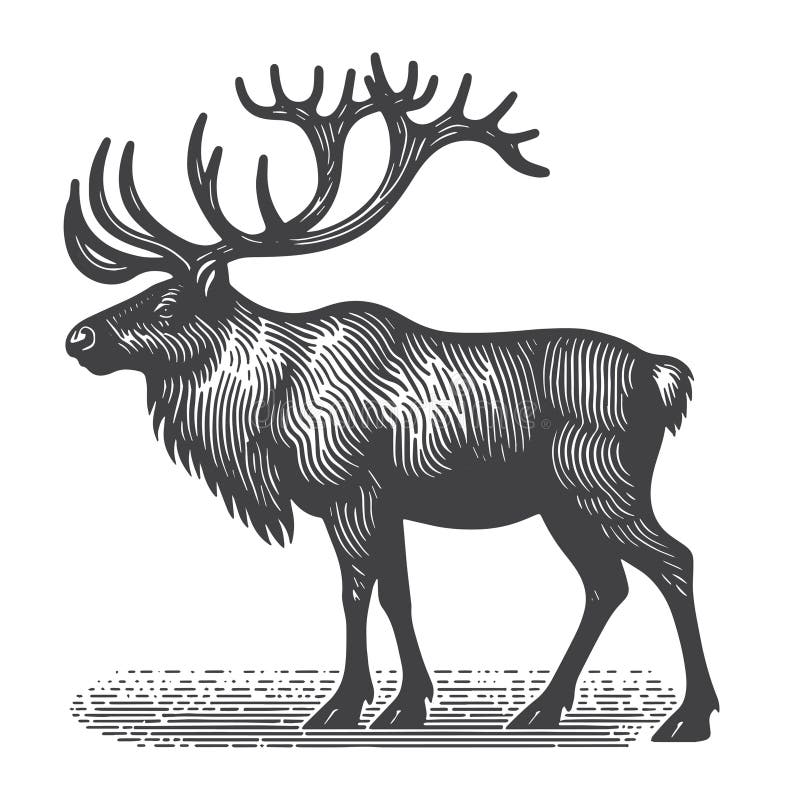 Caribou Side View Vector Icon Vintage Retro Logo Illustration Design ...