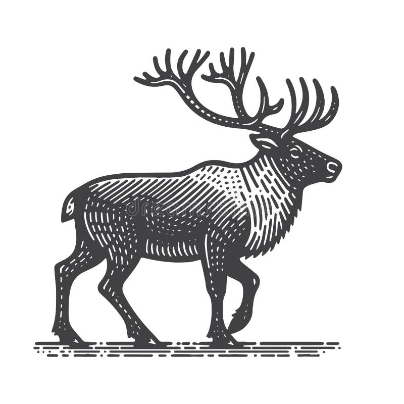 Caribou Standing Vector Icon Vintage Retro Logo Illustration Design ...