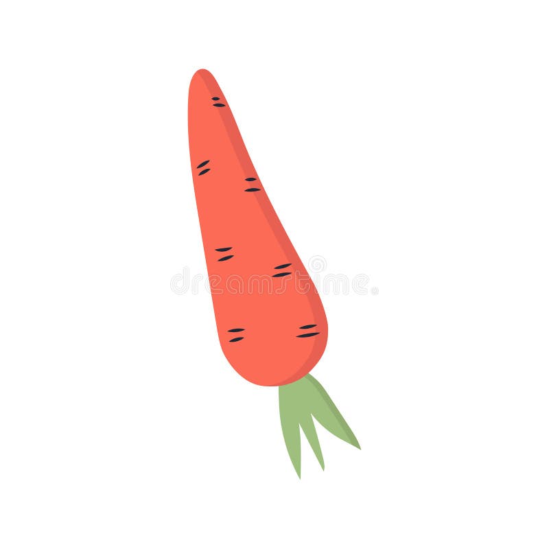 Simple Carrots on a White Background Stock Vector - Illustration of ...