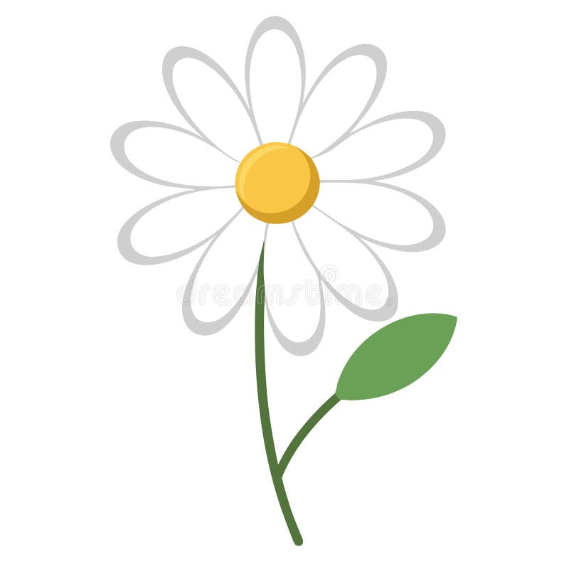 Simple Cartoon Daisy Flower with Stem and Leaf Illustration Stock ...