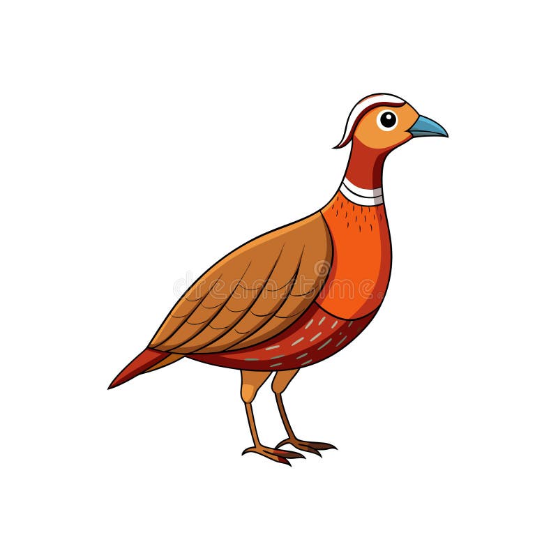 Cartoon Partridge Stock Illustrations – 673 Cartoon Partridge Stock ...
