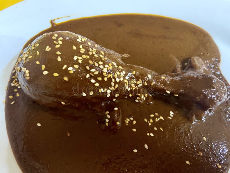 Simple Chicken Mole Mexican Food Stock Photo - Image of plate, brown ...