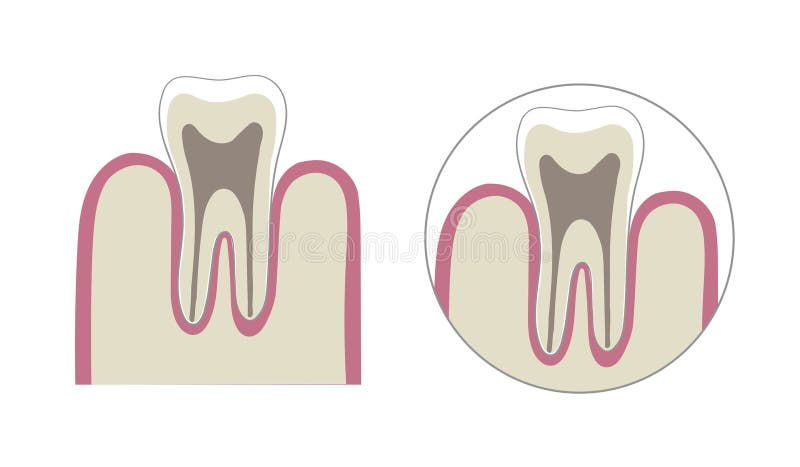 Simple Circle Icon of Tooth and Gum in Boho Colors. Flat Illustration ...