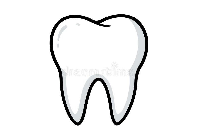 White tooth clipart stock vector. Illustration of root - 364073941