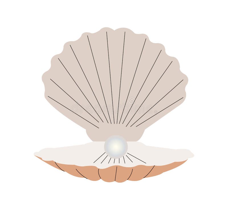 Clam Shell Vector