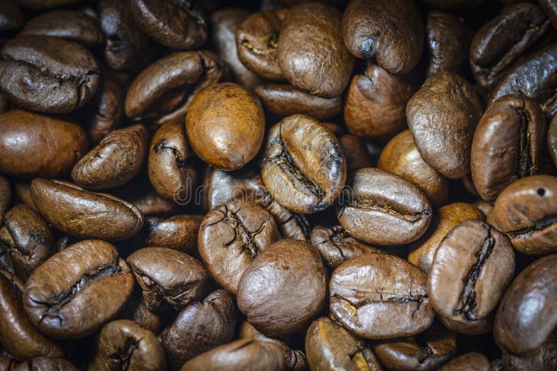 Simple Close-up of Coffee Beans without People Stock Photo - Image of ...