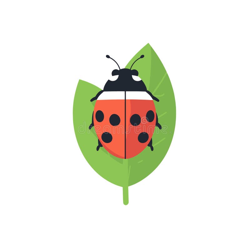 Simple Close-up of a Ladybug on a Leaf Vector Stock Illustration ...