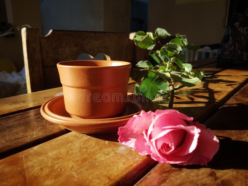 Simple coffee stock image. Image of wood, flower, morning - 120692493