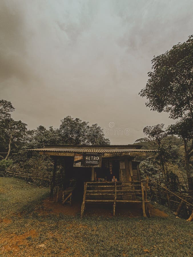 Simple coffee shop editorial stock photo. Image of forest - 261650628