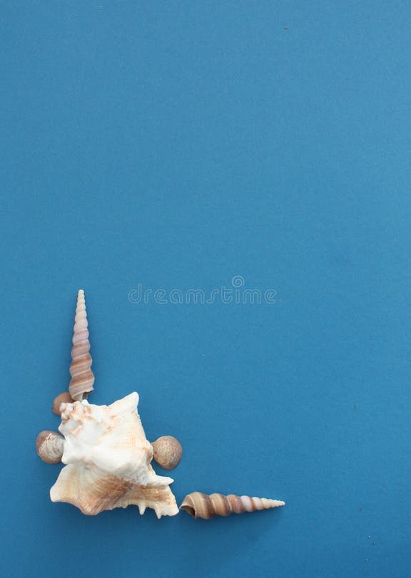 Simple Corner with Shells on Blue Background Stock Image - Image of ...
