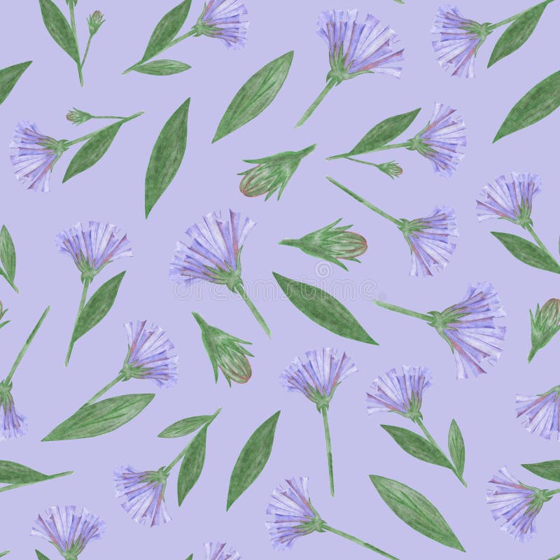 Simple Cornflower Floral Seamless Pattern on a Blue Background. Stock ...