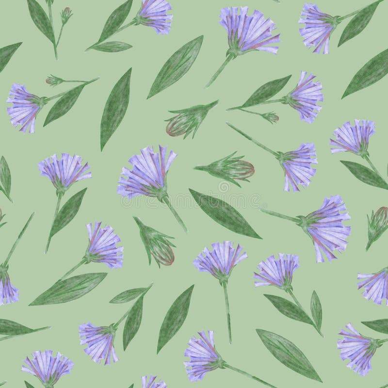 Simple Cornflower Floral Seamless Pattern on a Light Green Background ...