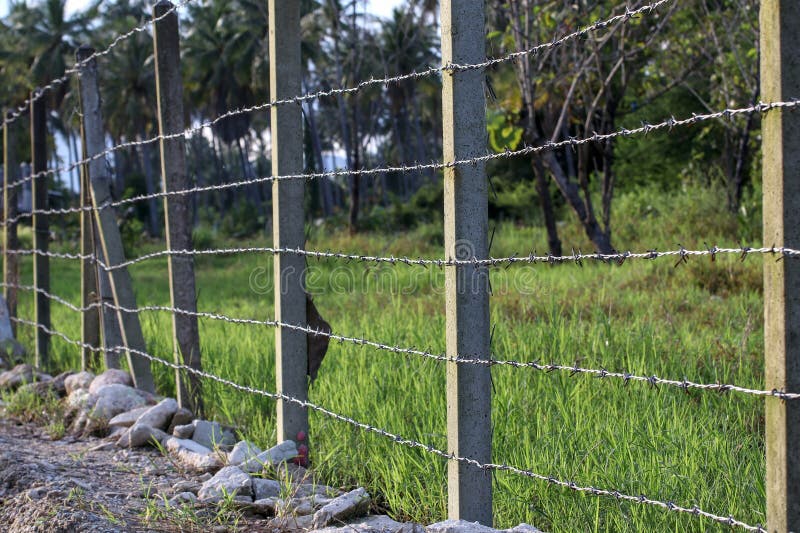 A Simple Country Fence Made of Six Layers of Barbed Wire on Concrete ...
