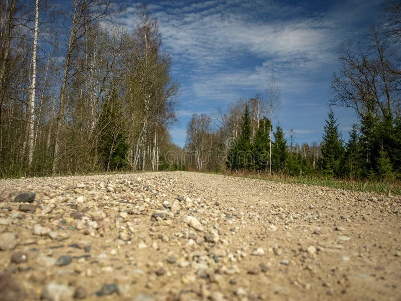 A Simple Country Road, the First Bright Spring Greenery, the First ...