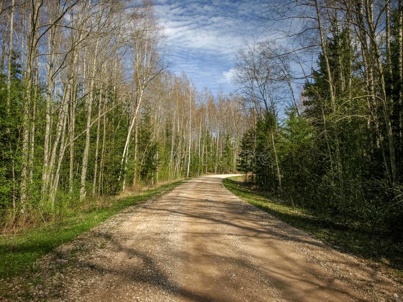 A Simple Country Road, the First Bright Spring Greenery, the First ...
