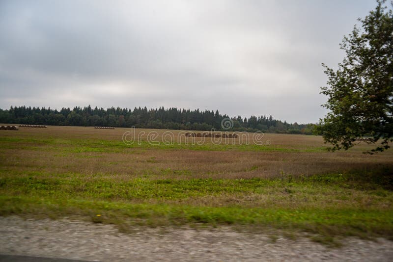 Simple Countryside Forest Road in Perspective Stock Photo - Image of ...