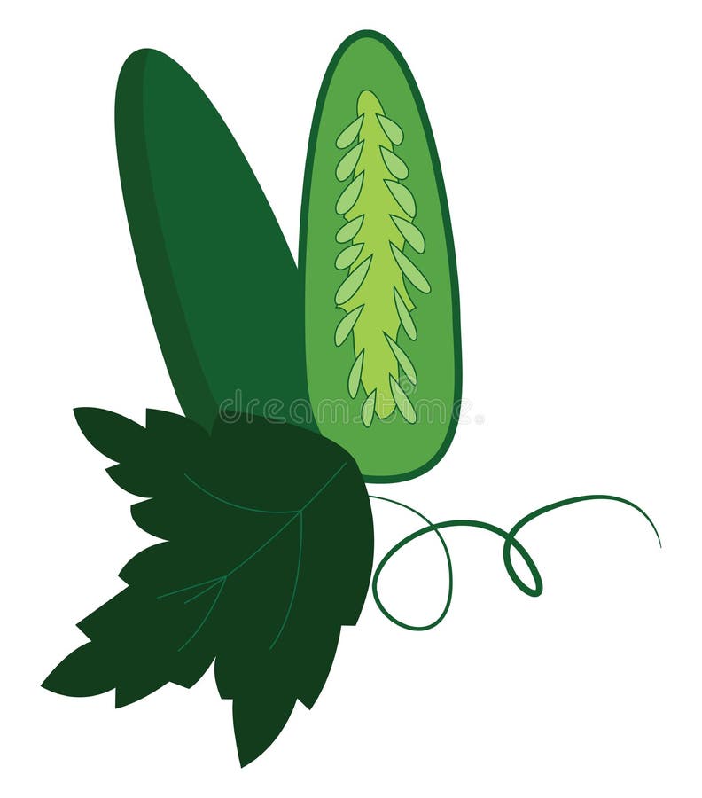 Simple Cucumber Vector Illustration Stock Vector - Illustration of ...