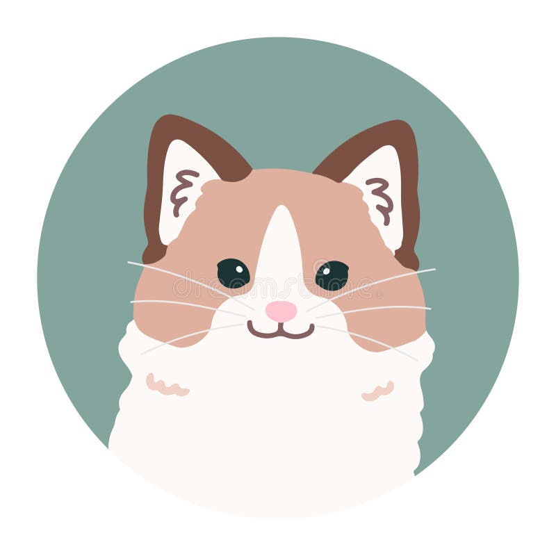 Simple and Cute Circle Icon Ragdoll Cat Stock Vector - Illustration of ...