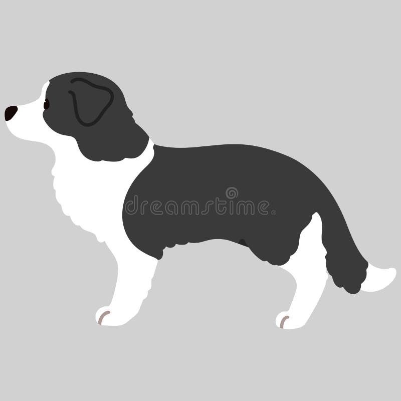 Simple and Cute Illustration of Border Collie in Side View Flat Colored ...