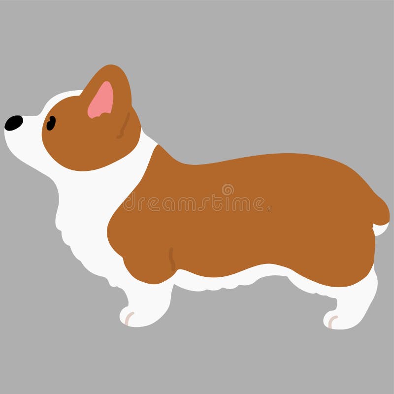 Simple and Cute Illustration of Corgi in Side View Flat Colored Stock ...