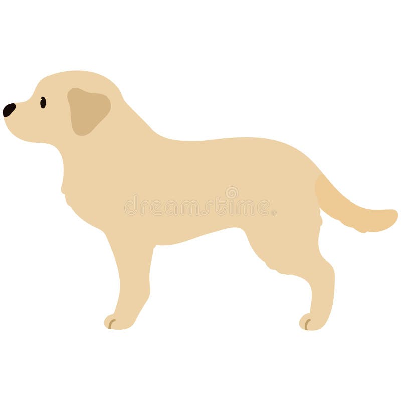 Simple and Cute Illustration of Labrador Retriever in Side View Flat ...